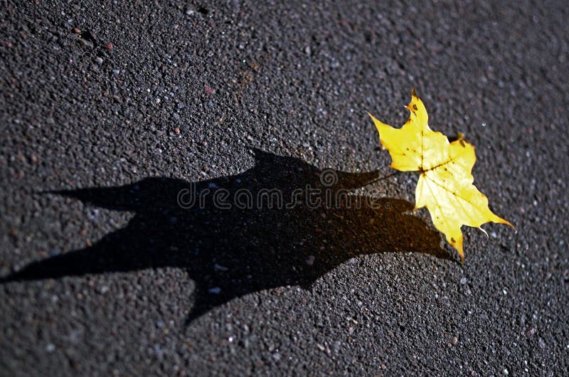 Contrasting Shadoow Stock Photos - Free & Royalty-Free Stock Photos ...