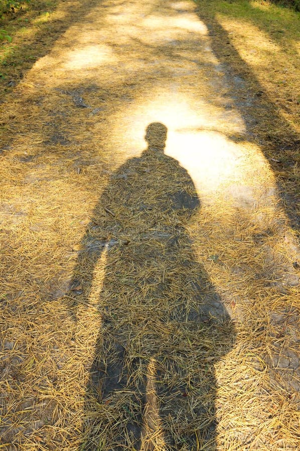 Shadow Of Young Man Standing Alone In Forest Stock Photo - Image of ...
