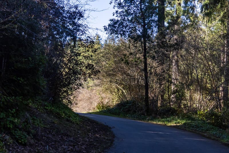 Shadowed Path Leading through Forest To Bright Arch Stock Photo - Image ...