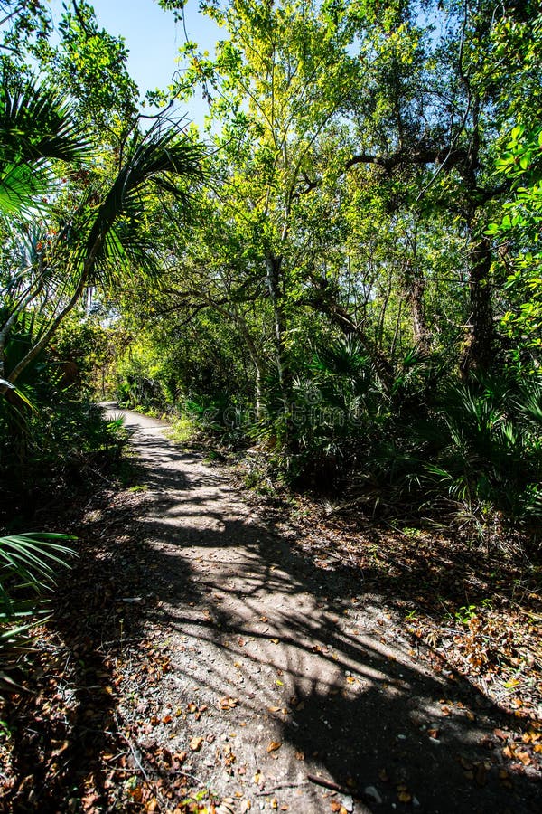 SHADOWED PATH TO the BRIDGE Stock Image - Image of foot, walkway: 84617851