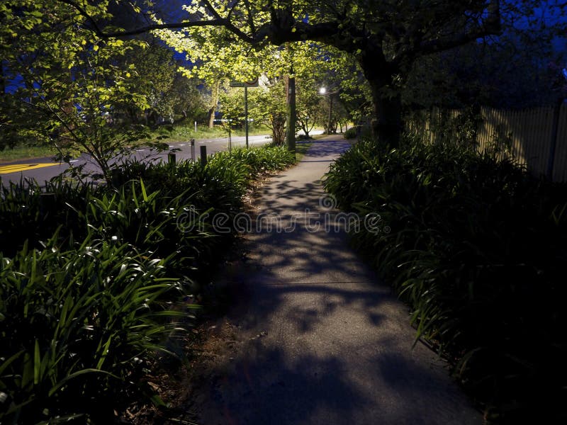 Quiet Garden Path Under Soft Evening Glow Stock Photos - Free & Royalty ...