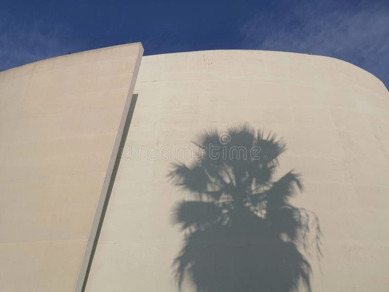 Shadowof a Palm Tree Falling on a Building Stock Photo - Image of leaf ...