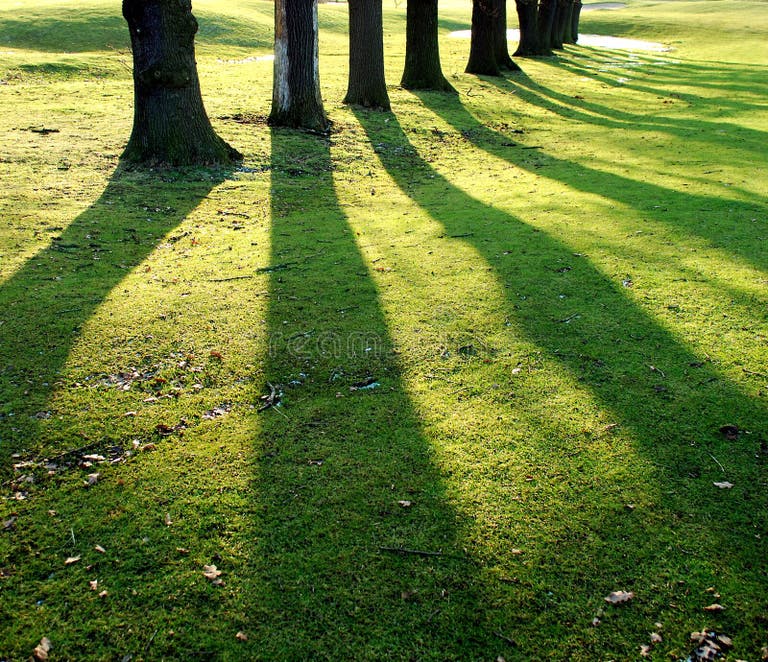5,933 Trees Long Shadows Stock Photos - Free & Royalty-Free Stock ...