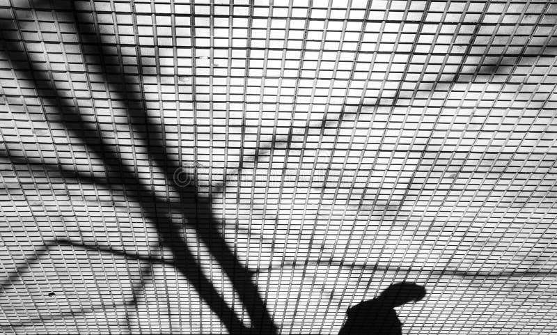 1,455 Tree Branch High Contrast Stock Photos - Free & Royalty-Free ...