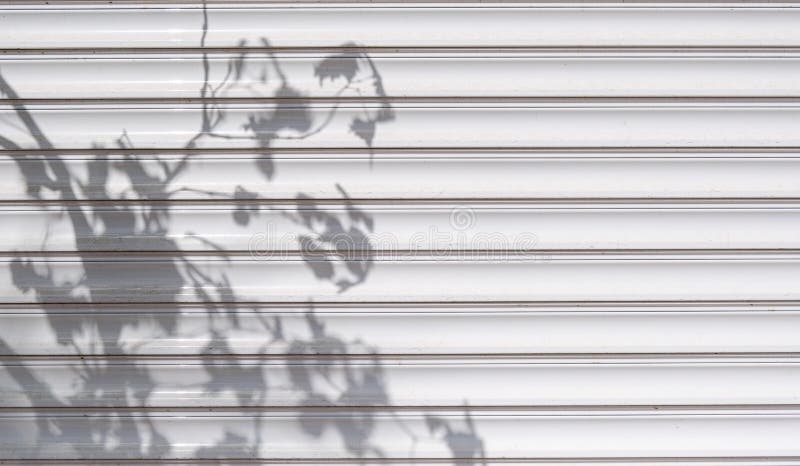 Shadows from the Branches of Grape in a Sunny Summer Day Stock Image ...
