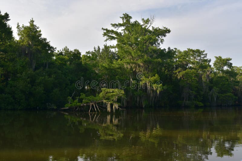 Shallow Riverways Stock Photos - Free & Royalty-Free Stock Photos from ...