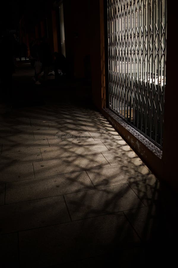 Shadows Cast on the Ground from a Gate Illuminated by Soft Lighting ...