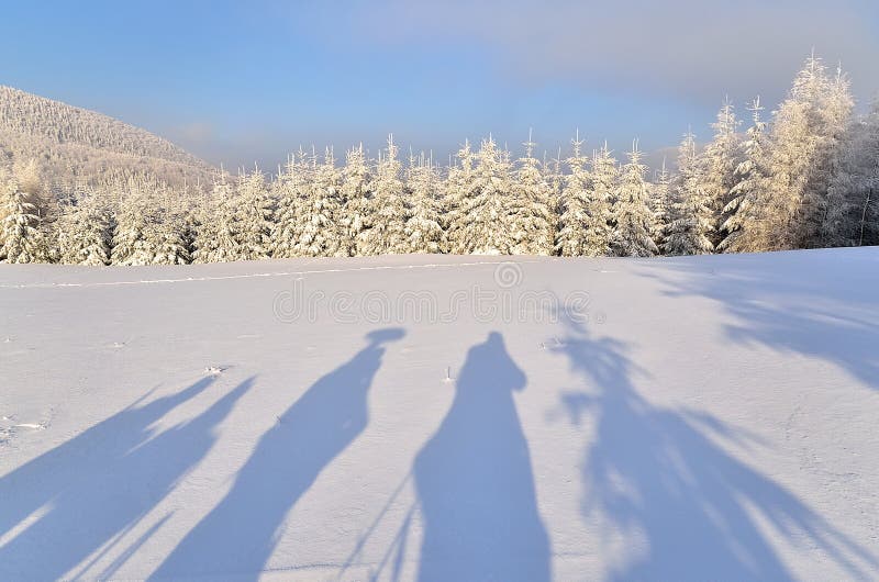 Shadows cast by hikers stock photo. Image of shadows - 49832104