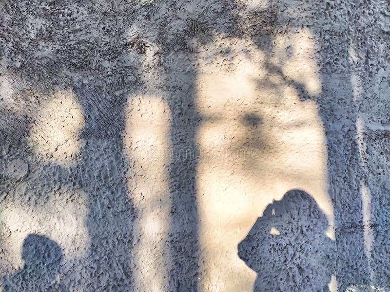 Shadows Cast on Textured Surface in a Natural Setting during Daylight ...