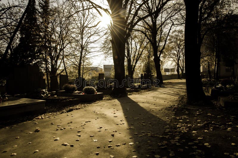 Shadows in cemetery stock image. Image of tree, sadness - 77622077