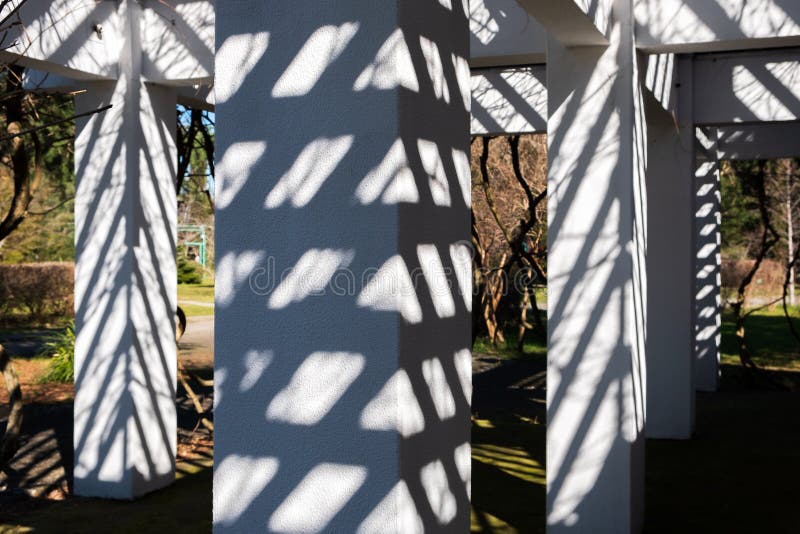 Shadows on the Columns Standing among the Bushes Stock Image - Image of ...