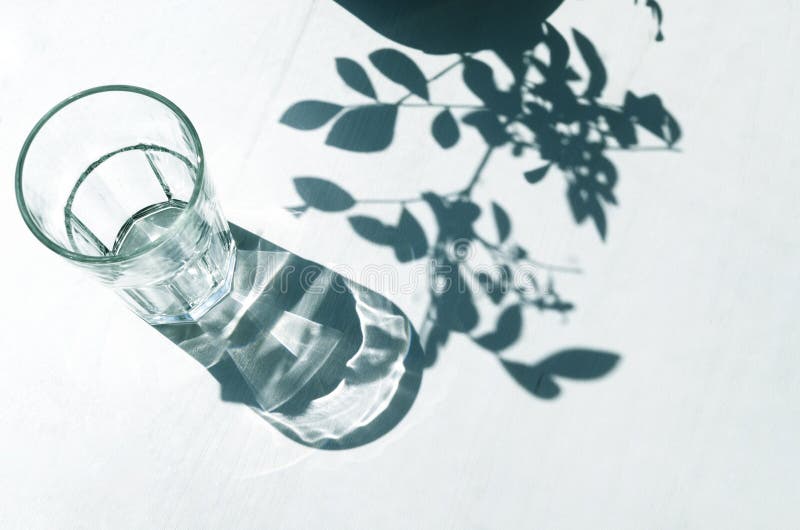Sharp Shadows from an Empty Glass and Plants on a White Background ...