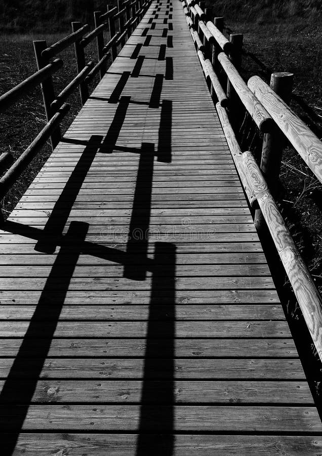 Shadows on the Endless Footbridge without People Stock Photo - Image of ...