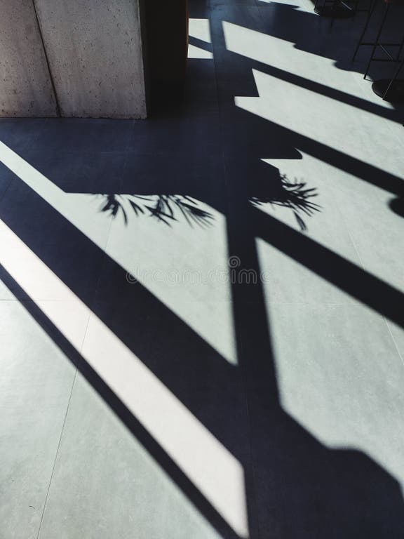 Shadows on the floor stock photo. Image of shadows, lines - 229633884