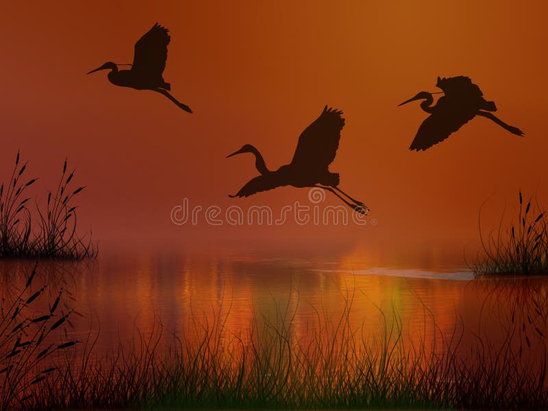Shadows flying stock image. Image of peak, golden, birds - 5667449