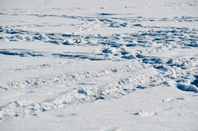 Shadows in the footsteps stock photo. Image of globe - 88609440