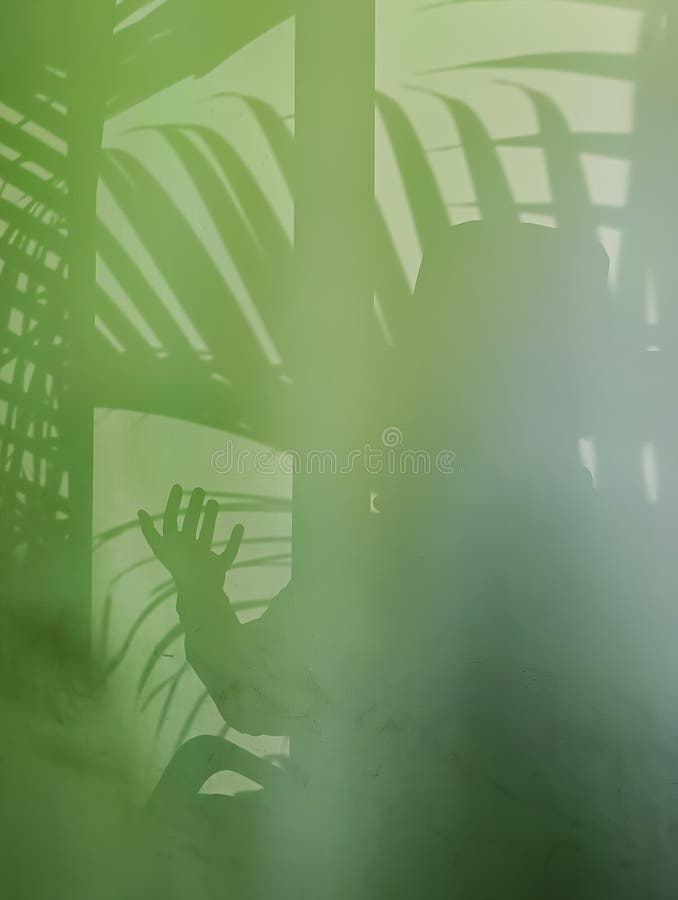 Shadow Formed from Sunlight Entering through Windows Stock Photo ...