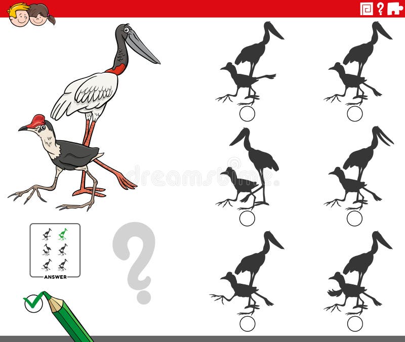 Shadows Game with Cartoon Bird Characters Stock Vector - Illustration ...