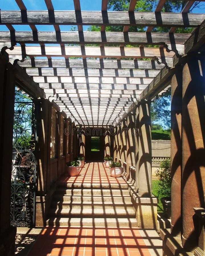 Shadows in the garden stock image. Image of garden, shadows - 93097577