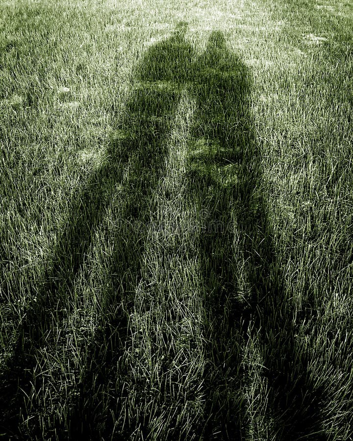 Shadows on Green Grass stock photo. Image of dark, shadow - 16807910