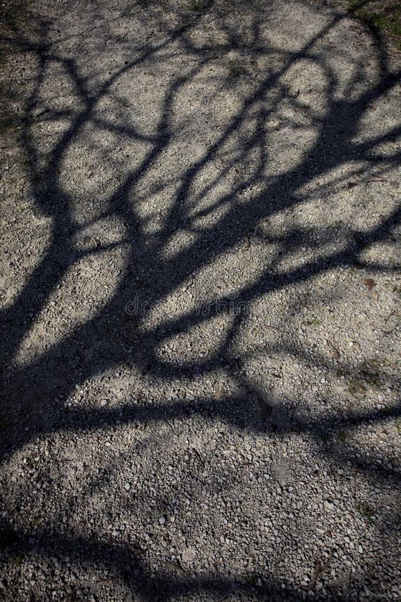 Shadows on the ground stock photo. Image of nature, countryside - 368513502