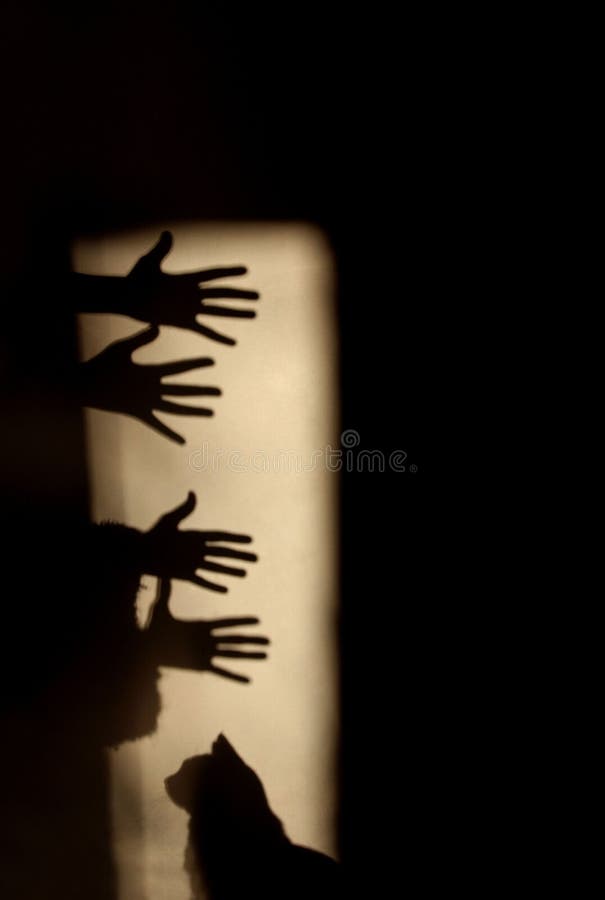 Cat Shadows Stock Photos - Download 1,284 Royalty Free Photos