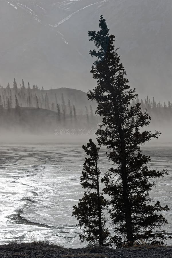 Shadows on Kluane Lake Shore Stock Photo - Image of lake, winter: 143429438