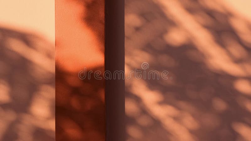 Shadows Leaf in Wind Blowing Overlay on Red Concrete Wall Stock Video ...