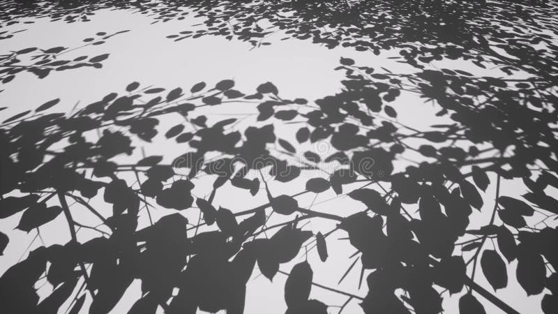 Shadows of Leaves and Tree Branches on White Surface 3d Stock Illustration - Illustration of ...