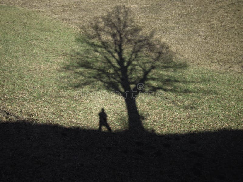 Shadows of a Man and a Tree Stock Photo - Image of perspective ...