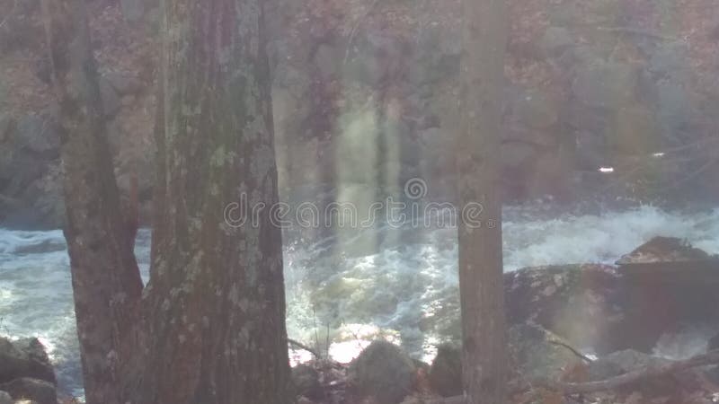 Shadows in the mist stock image. Image of shadows, river - 105260761