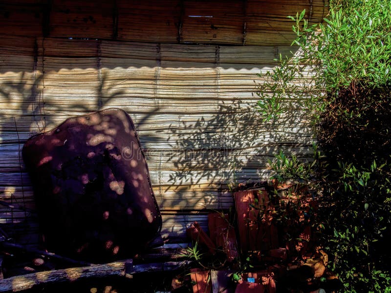 Shadows and Old Objects Against the Cane Wall of a Rustic Shed Stock ...