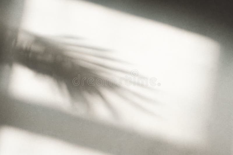 254 Pal Texture Stock Photos - Free & Royalty-Free Stock Photos from ...