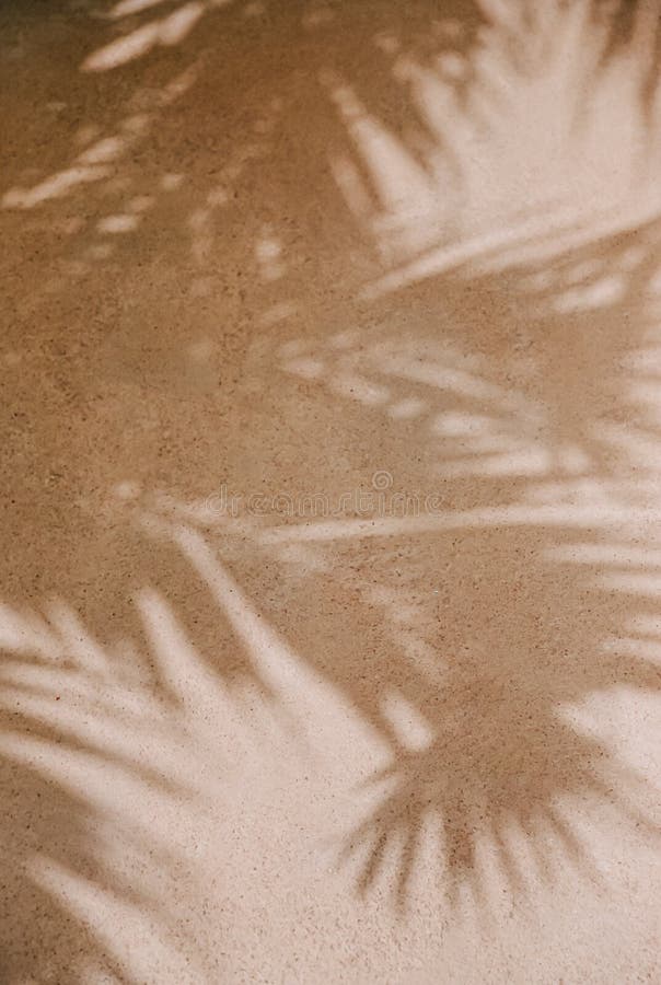 Shadows from Palm Leaves Creating Intricate Patterns on a Sandy Surface ...