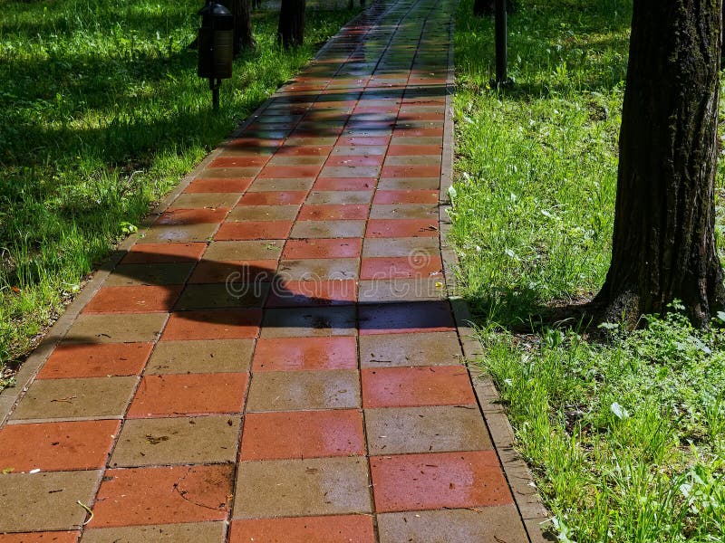 Walk of tiles in the park stock image. Image of neat - 216362739