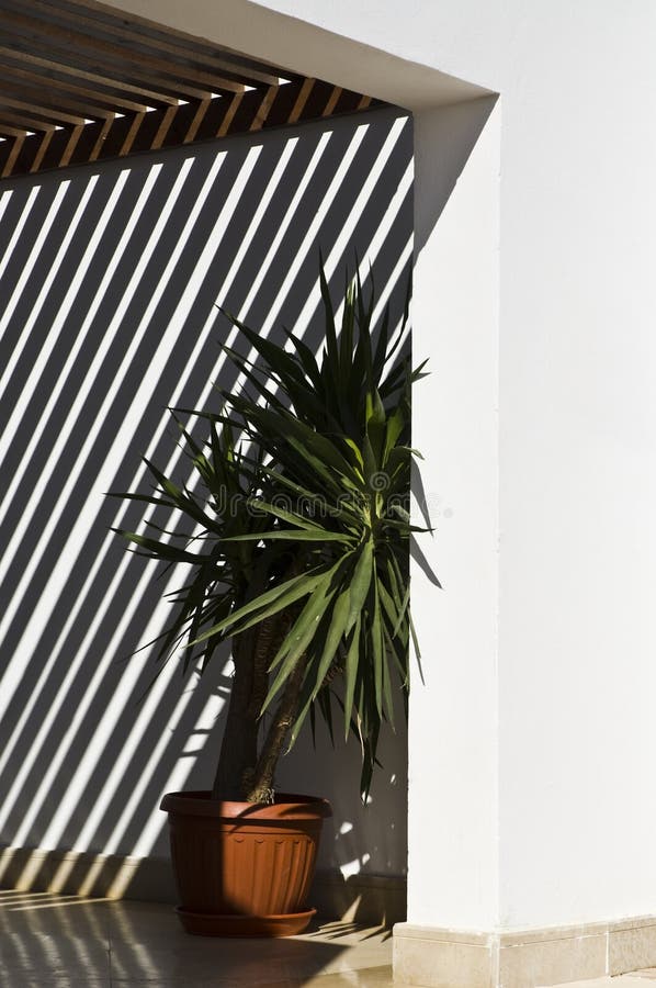 Shadows on patio wall stock image. Image of bright, sunshine - 7909437