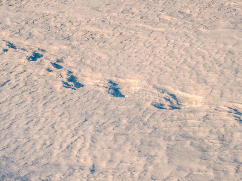 Shadows and Patterns on the Surface of Snow Stock Image - Image of ...