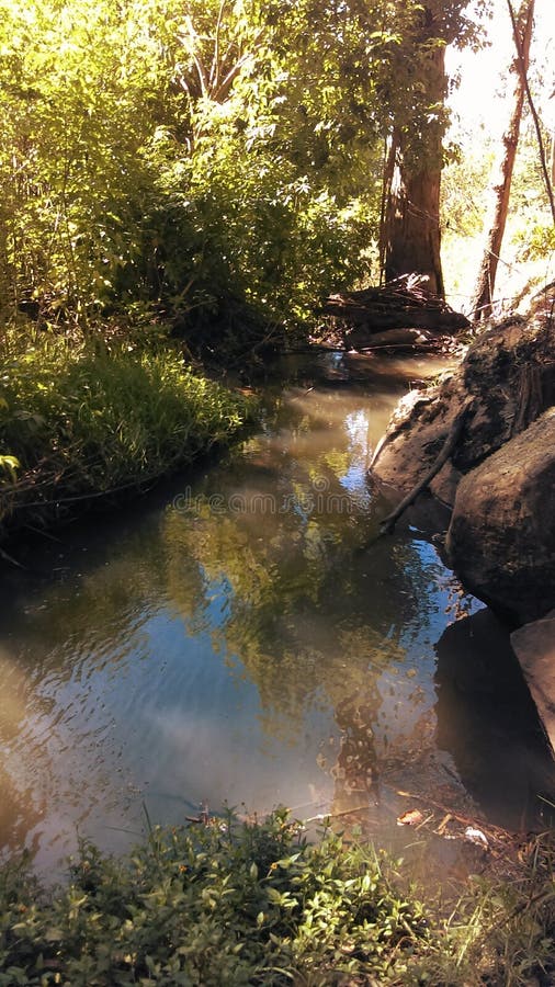 Shadows on the river stock photo. Image of shadows, forest - 93180832