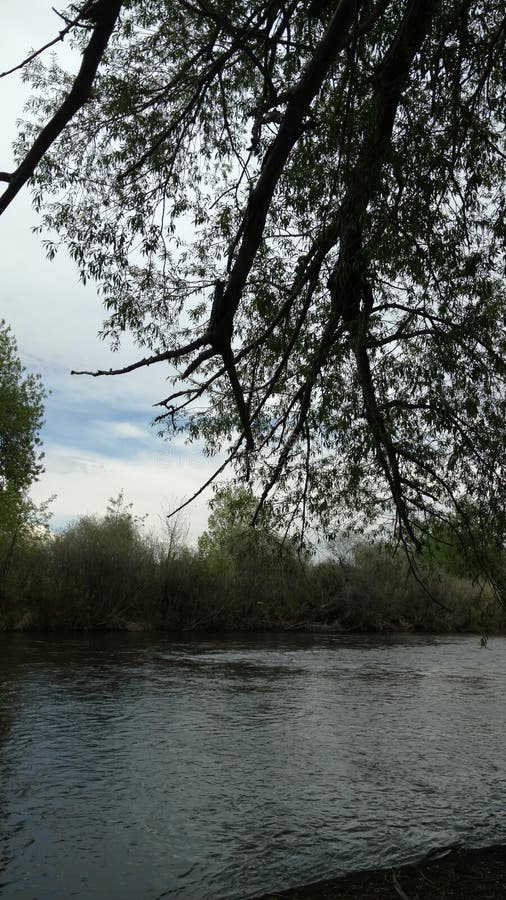 Shadows on the river stock photo. Image of shadows, tree - 92674660
