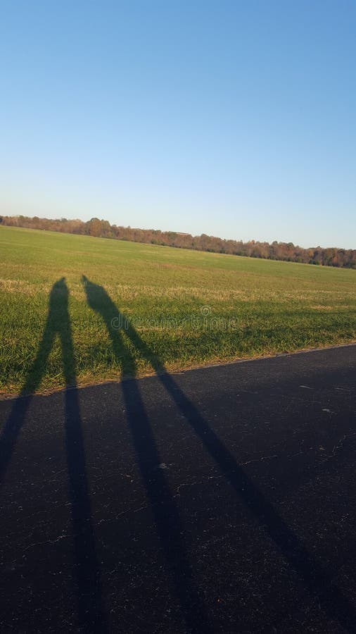 Shadows on a Road stock image. Image of walking, nature - 116430833