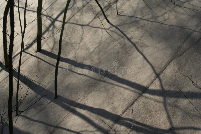 Shadows on the sand stock photo. Image of marsa, camel - 1328512