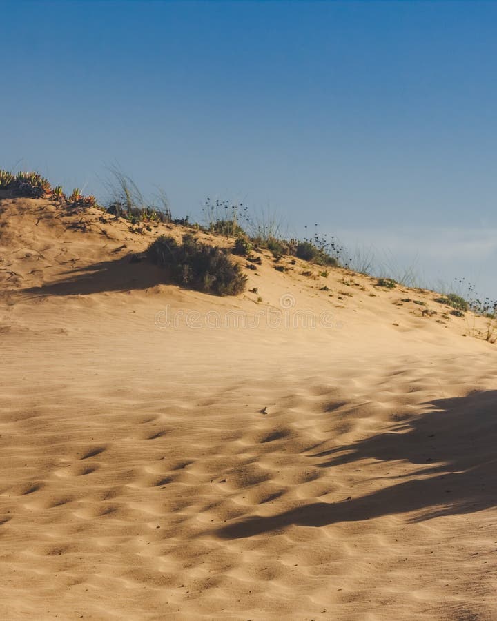 Shadows on the Sand of the Dunes Stock Photo - Image of blue, dune ...