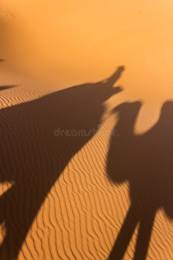 Shadows on the sand stock image. Image of vacation, arab - 40651101