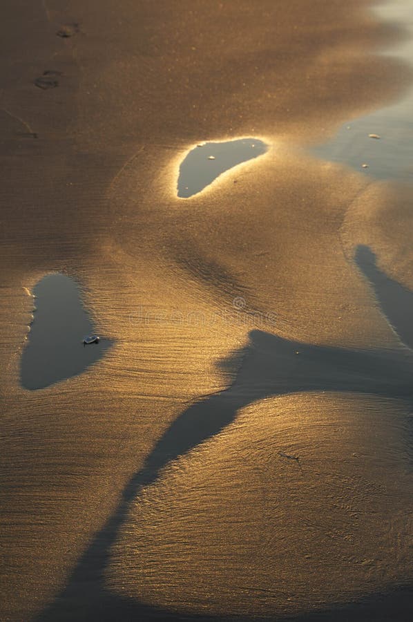 Shadows on the sand stock photo. Image of marsa, camel - 1328512