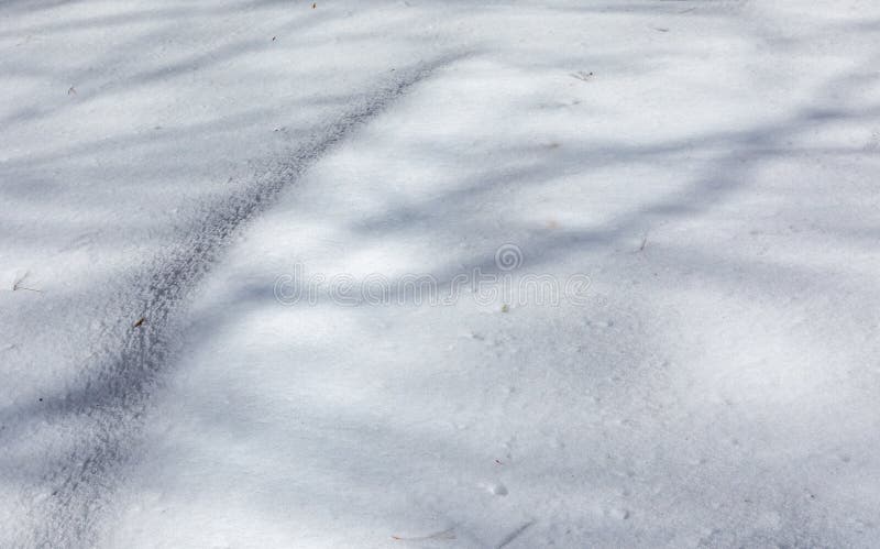 Shadows of Shapes and Designs Fall on New Snow in Winter Stock Image ...