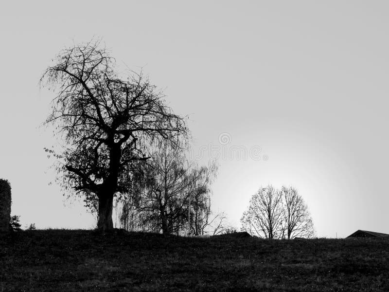 Dark farm stock image. Image of fear, mystery, darkness - 103220631