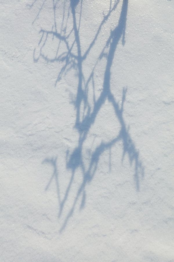 Shadows on snow. stock photo. Image of pattern, nature - 346053966