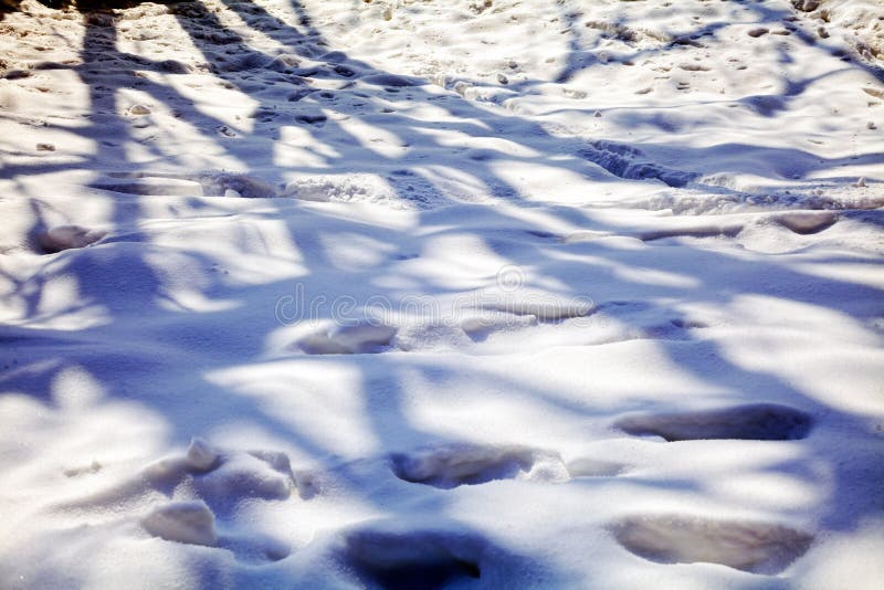 Shadows on the snow stock photo. Image of detail, pure - 72833148