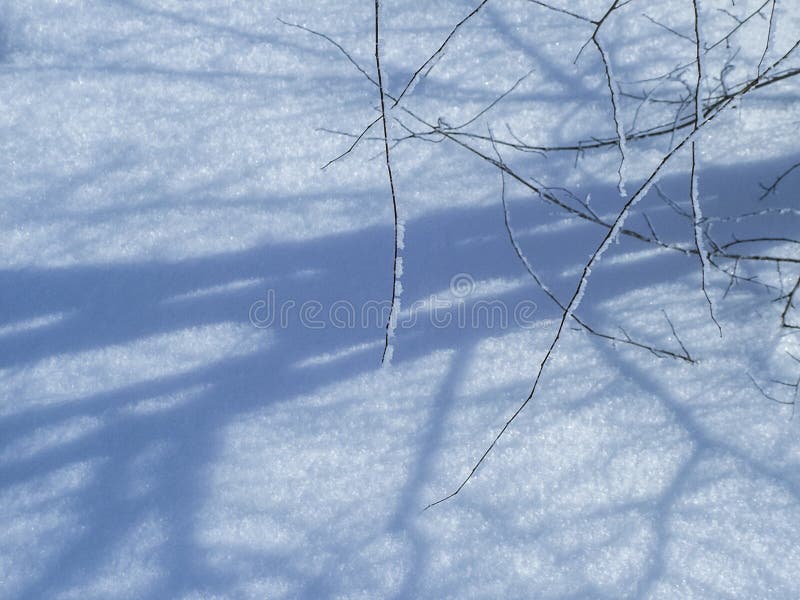 Shadows in the snow stock photo. Image of blue, background - 177557536