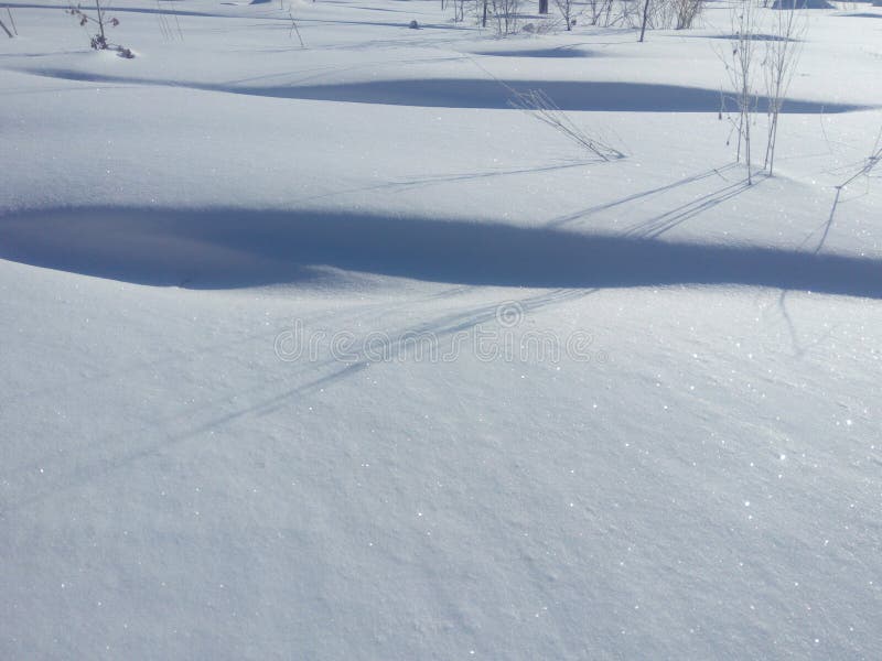 Shadows on the Snow. Shadows from the Trees. Shadows from the Bright ...